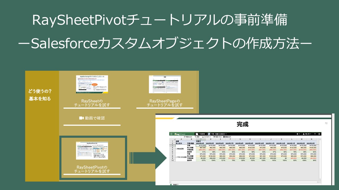 RaySheetPivotチュートリアルの事前準備ーSalesforceカスタムオブジェクトの作成方法ー - RayKit活用ブログ-SalesforceとExcelのイイトコドリ-